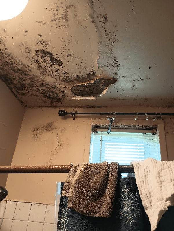 Solving problems doctors can’t fix: How Georgetown’s medical-legal ...