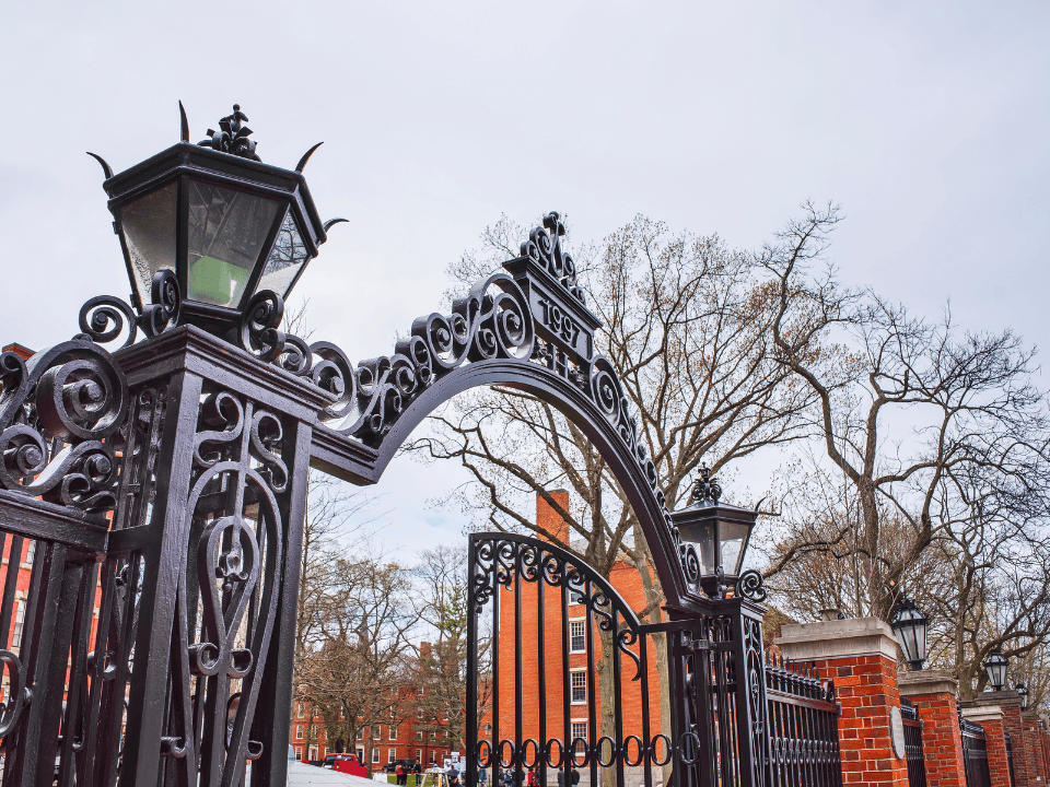 Mustard gas: From deadly weapon to chemotherapy - The Cancer Letter